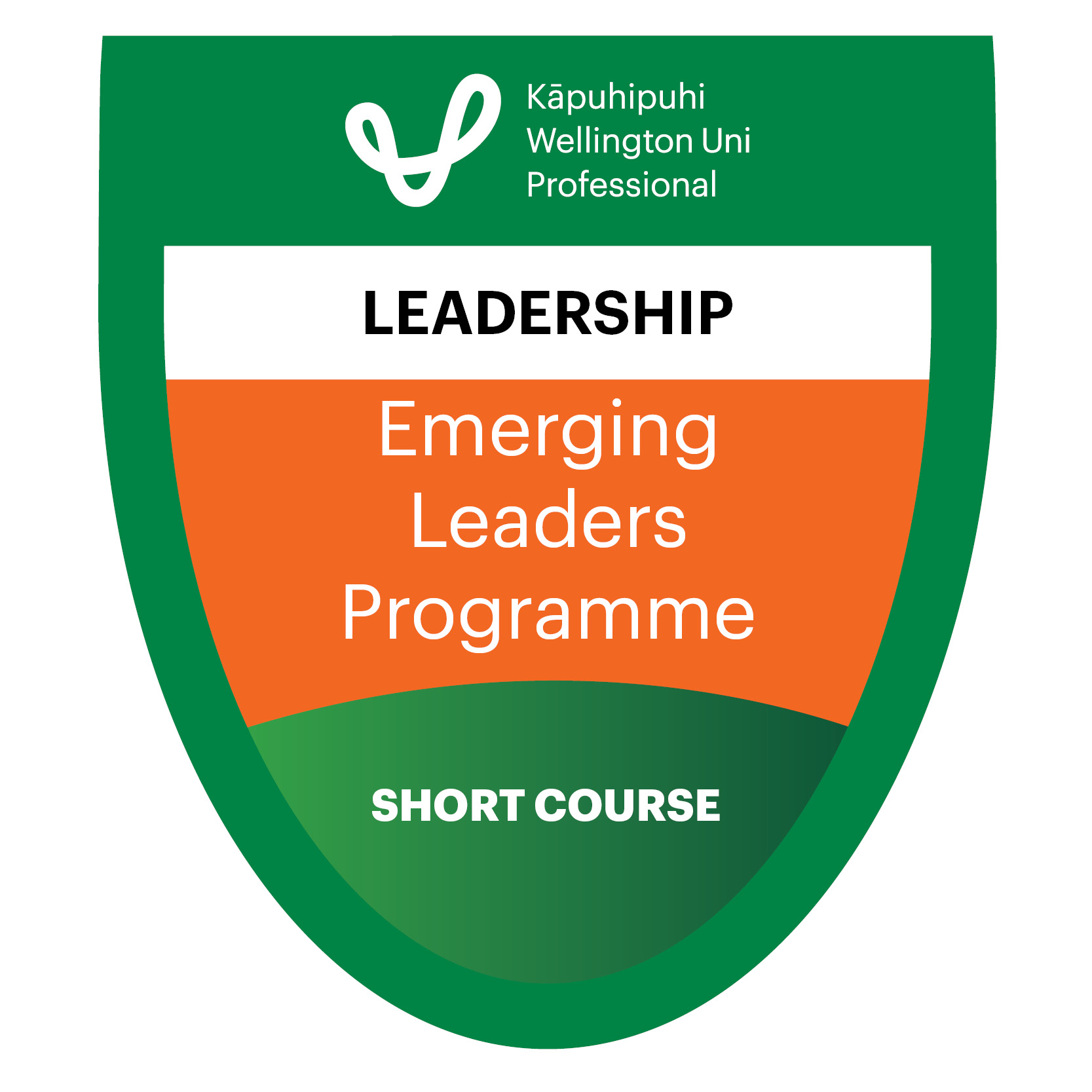 Emerging Leaders Programme - Wellington Uni Professional Learning